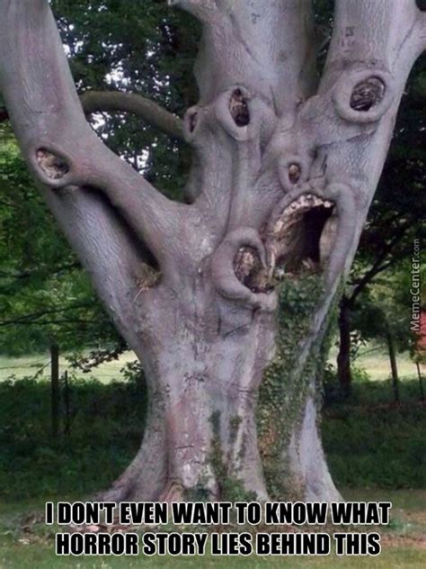 Tree Meme Subido Por Vehluks Memedroid
