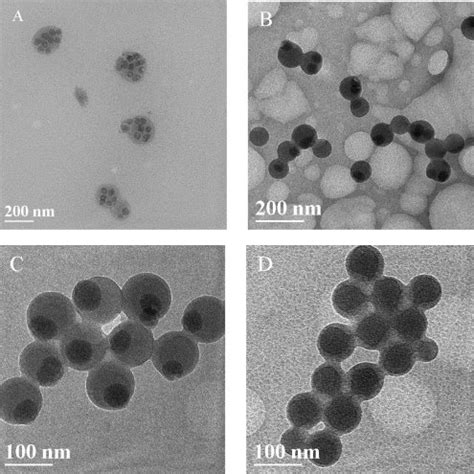 TEM Photographs Of SiO Polystyrene Composite Particle Using MM SLS Download Scientific