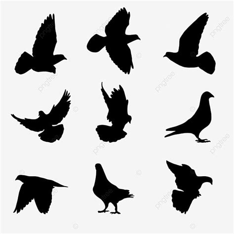 Pájaros Negros Png Dibujos Negro Feiniaoqun Patron Decorativo Png Y
