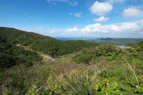 Ryukyu Life Sakura 桜 Report Mt Yaedake In Photos