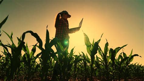 How Kernel Science Srl Is Using Simulations For Sustainable Food