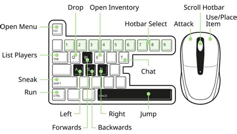 Minecraft Keyboard Controls Hướng Dẫn đầy đủ Phím Tắt Giúp Bạn Chơi Game Hiệu Quả Hơn