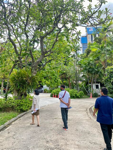 วันนี้ทาง บริษัทฯ รับดูแลสวนและการจัดแต่งภูมิทัศน์