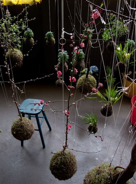 Enchanted By A String Garden