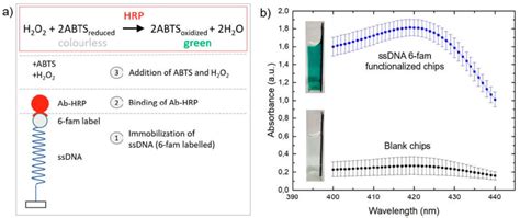 A On Chip Elisa Assay Step 1 Ssdna Immobilization Onto The Chip