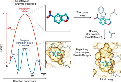 The Development Roadmap Of Enzyme Rational Design Nature The Path To Fully Programmable