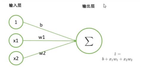 极简pytorch 单层神经网络正向传播 pytorch单层 csdn博客