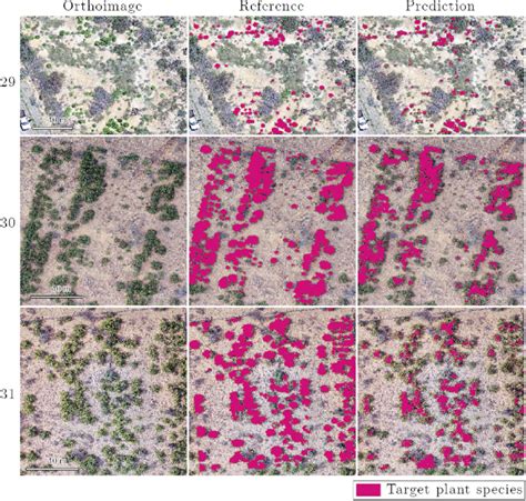 Fig A8 Overview Of Segmentation Result Of The Target Species Of The Download Scientific