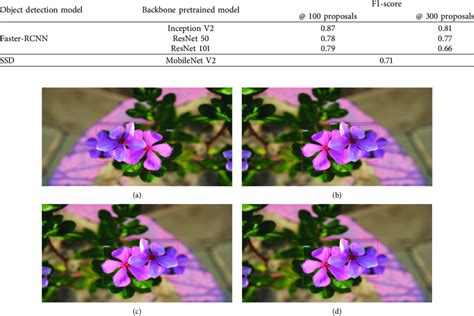 e performance of f1 score for different object detection models
