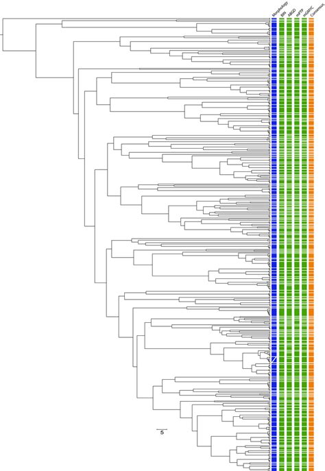 Bayesian Chronogram For The 676 Dna Barcodes Obtained Based On A 12