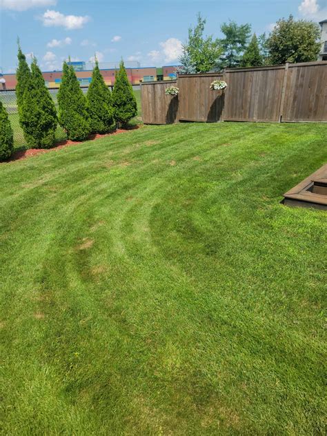 Top Grass Cutting Services In Gloucester Nova Lawn Care