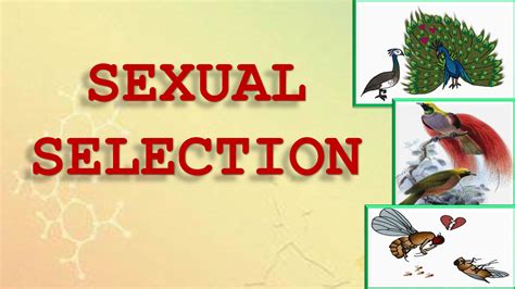 SOLUTION Study Material On Sexual Selection Evolution And Systematics Studypool
