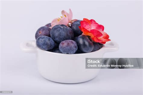 흰색 배경에 빨간색과 분홍색 꽃이 있는 블루베리 그릇 상세한 클로즈업 뷰에서 생생한 색상과 질감을 강조합니다 0명에 대한 스톡 사진 및 기타 이미지 Istock