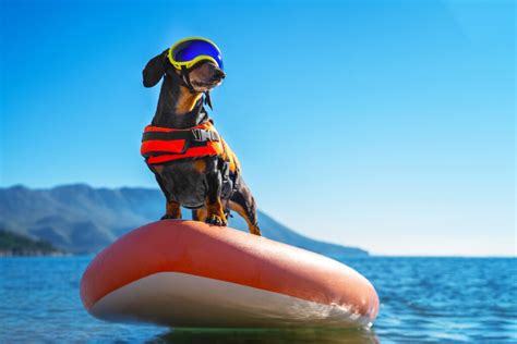 What Is Data Detection And Response Ddr Fasoo