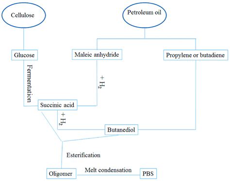 Flow Chart Representing The Production Of Pbs Download Scientific Diagram