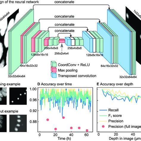 Automated Detection Of Cell Nuclei By A Convolutional Neural Network
