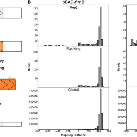 Detection Of The Fims Inversion By The Svre Algorithm A A Schematic Download Scientific