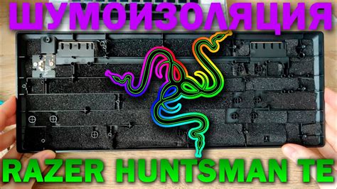 ПРАВИЛЬНАЯ ШУМОИЗОЛЯЦИЯ КЛАВИАТУРЫ // Моддинг Razer Huntsman Tournament ...