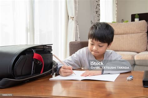 학교에서 집으로 돌아와 거실에서 숙제를하는 일본 소년 8 9 살에 대한 스톡 사진 및 기타 이미지 8 9 살 가정 생활 가정의 방 Istock