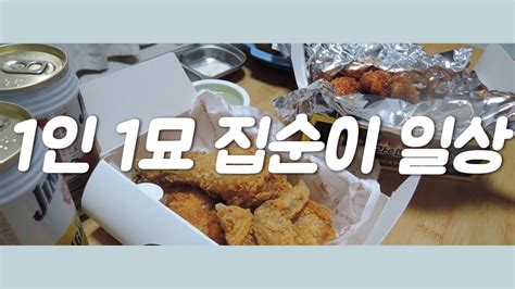 고양이와 함께 사는 집순이 일상 홈카페 간단한요리 잔잔하고 여유로운1인가구의 하루 Youtube