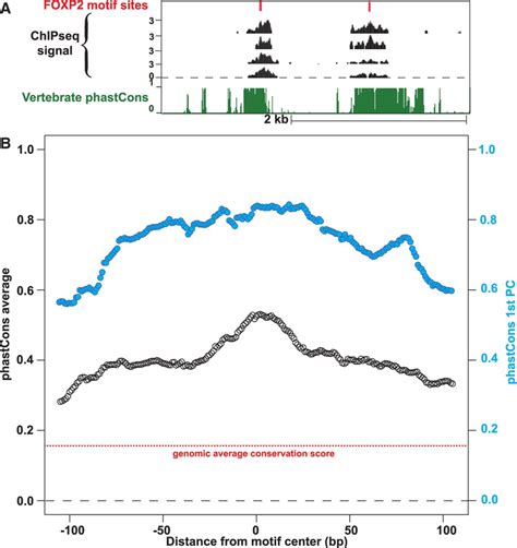 Conservation Of Sequences Within Chip Seq Peaks Containing Instances Of Download Scientific