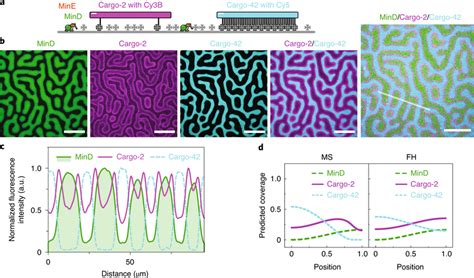 minde spatially sort cargo according to effective size a schematic of