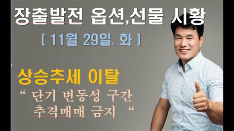 11월 29일 화 상승추세 이탈 장중 변동성 구간 Youtube