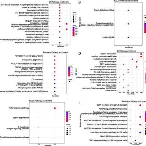 Multiple Algorithms Identified 4 Key Genes Associated With Ad And