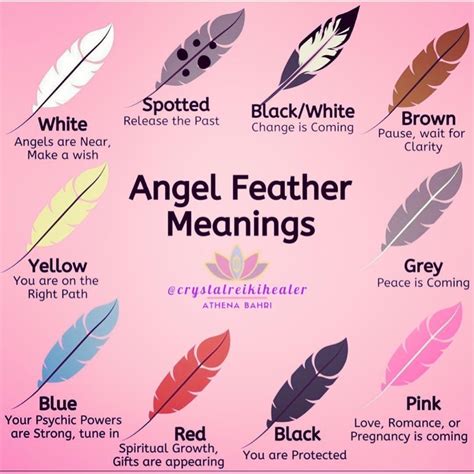 Discover 17 Feather Color Meaning And Feather Meaning Ideas Color