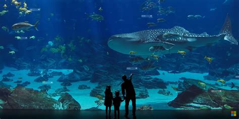 Microsoft Unveils Its Mesh Mixed Reality Platform And Its Pretty Cool