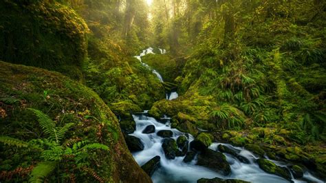A Waterfall In Olympic National Park Washington United States Bing