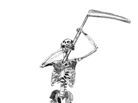 22 Human Skeleton Sketch Stock Videos Footage And 4k Video Clips Getty Images