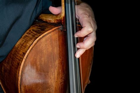 Is Cello Hard To Learn Read This Guide Before You Start