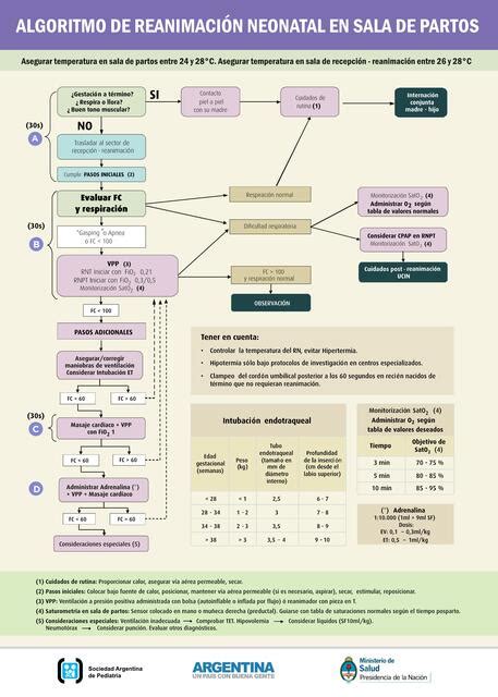 Algoritmo Para La Reanimacion Neonatal Veronica Mariela Barrios Udocz