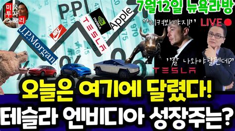 미국주식ppi생산자물가지수전기차 에너지 인공지능 반도체테슬라 엔비디아 구글 애플 아마존 메타 마이크로소프트 팔란티어