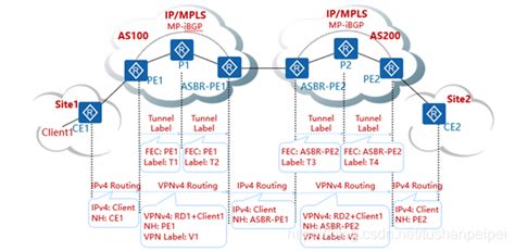 mpls virtual private network 跨域方案实现原理 virtual private network实现方式 csdn博客