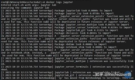 Docker 部署jupyterlab 知乎