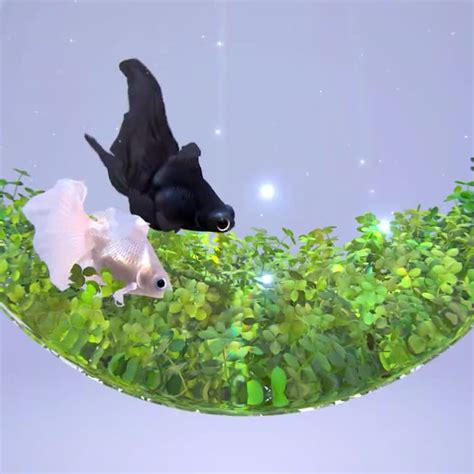 Motionshape On Linkedin Tech Unrealengine5 Programming Gamedev