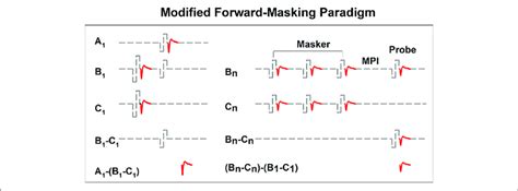 a schematic illustration of the modified forward masking paradigm