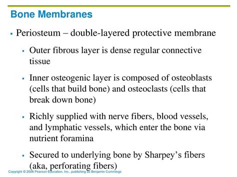 Bones And Skeletal Tissues Ppt Download