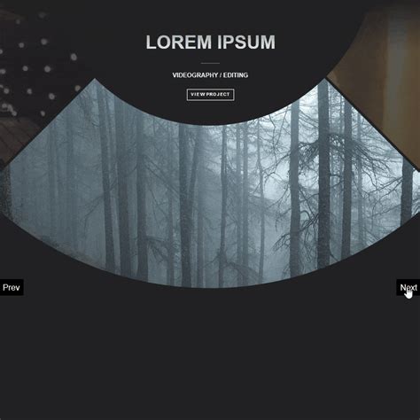 Circular Slider Coding Fribly
