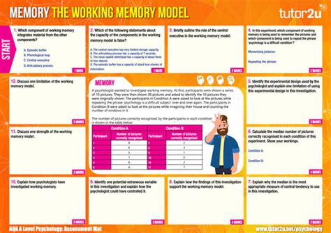 Working Memory Model Aqa A Level Psychology… Psychology Tutor2u