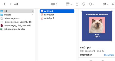 How To Use Indesign Data Merge For Text And Image Automation Be The Bean