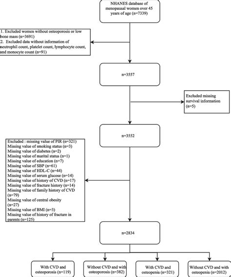 The Flow Chart Of Data Screening And Participant Selection BMI Body Download Scientific