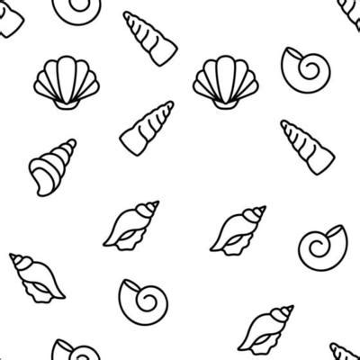 Conch Shell Vector Art Icons And Graphics For Free Download