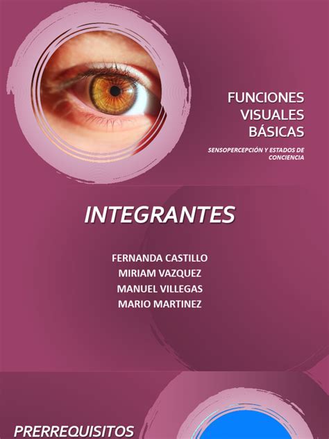 Funciones Visuales Básicas Expo Senso Descargar Gratis Pdf Percepción Visual Percepción