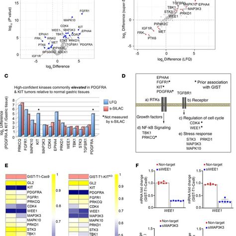 Targeting The Mutant Gist Kinome Signature Identifies Wee1 As Candidate Download Scientific