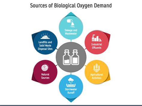 Biological Oxygen Demand PowerPoint And Google Slides Template PPT Slides