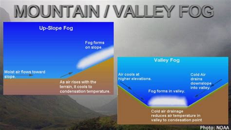 The Mist Story Of How Different Forms Of Fog Come To Be