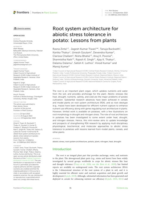 Pdf Root System Architecture For Abiotic Stress Tolerance In Potato Lessons From Plants